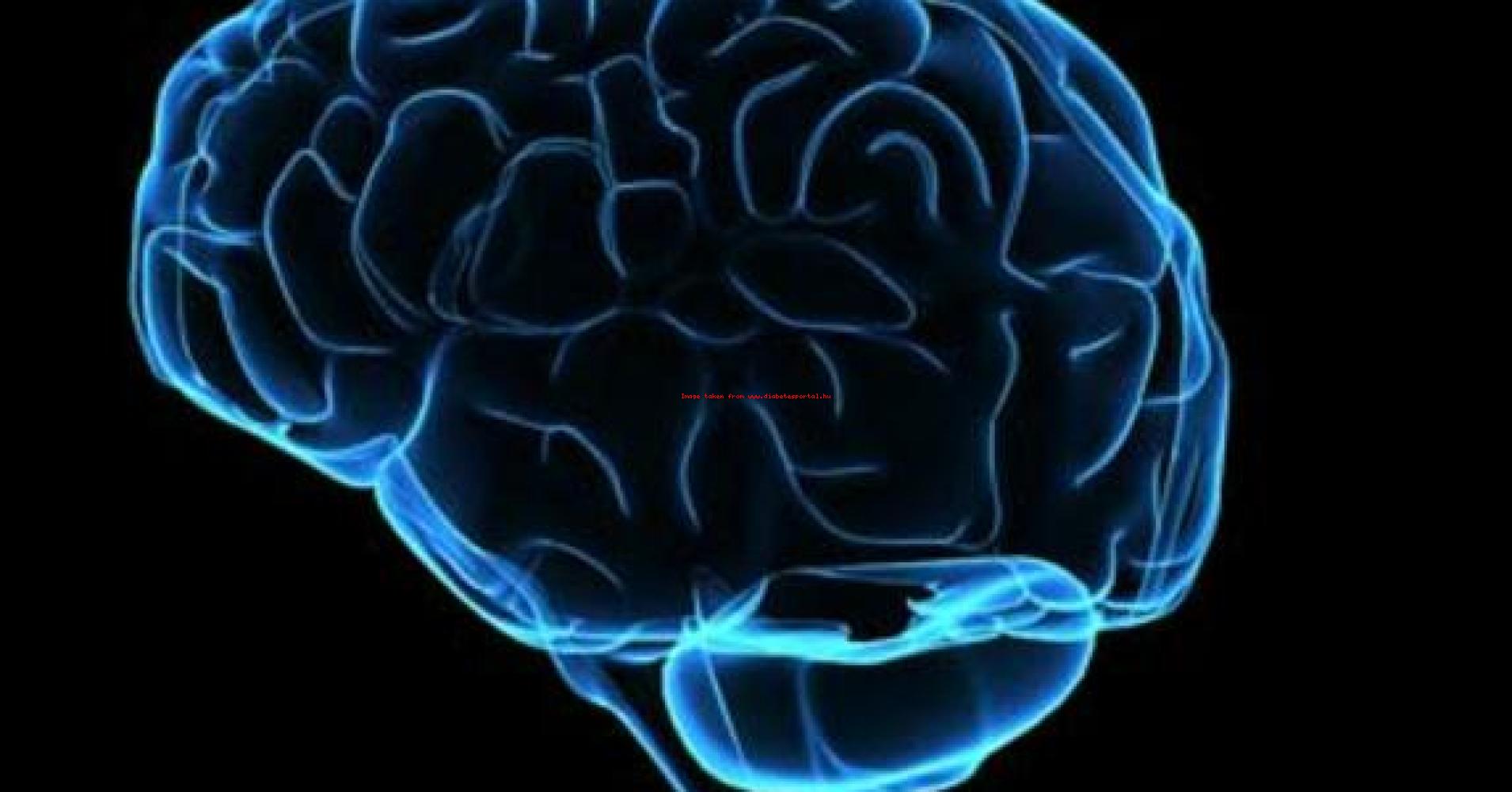 Mégis tud regenerálódni az agy?